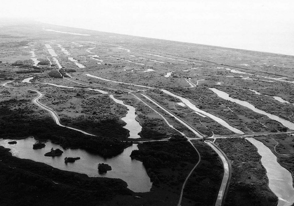 When the Dutch created massive new land like the Flevoland polder, how ...